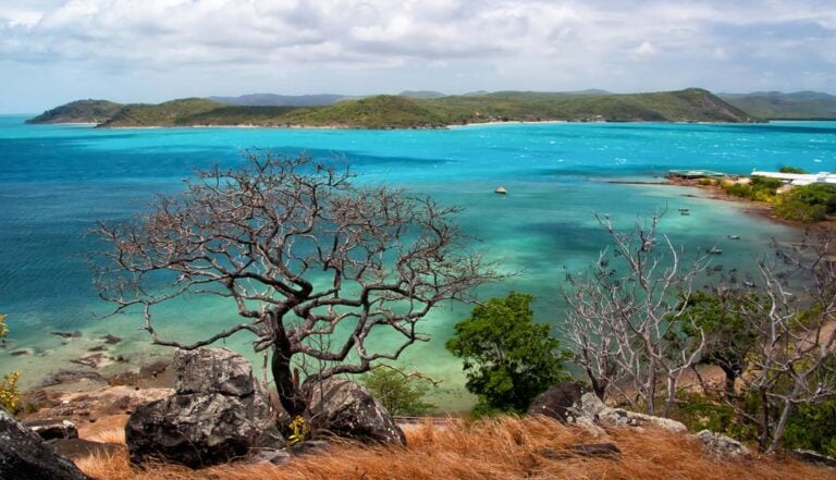 About Us | Torres Strait Island Regional Council