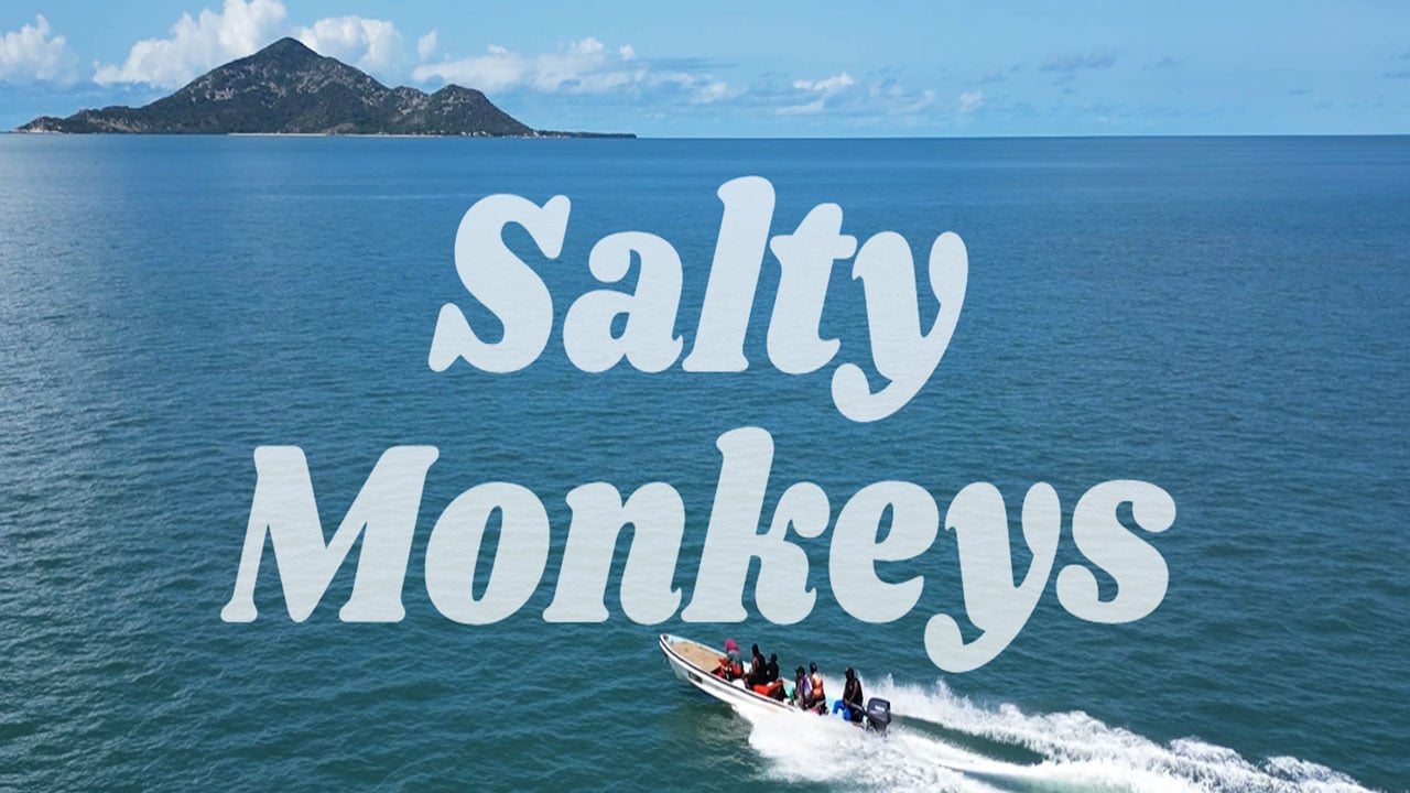 Environment | Torres Strait Island Regional Council