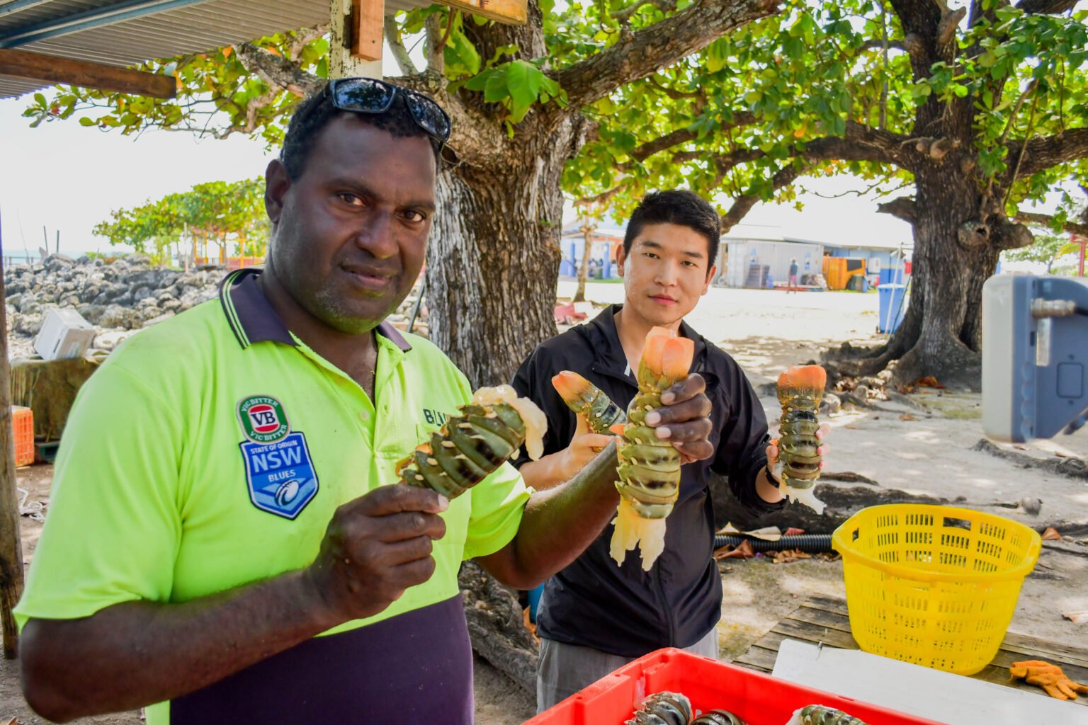 The new TSIRC website is now officially live! | Torres Strait Island ...