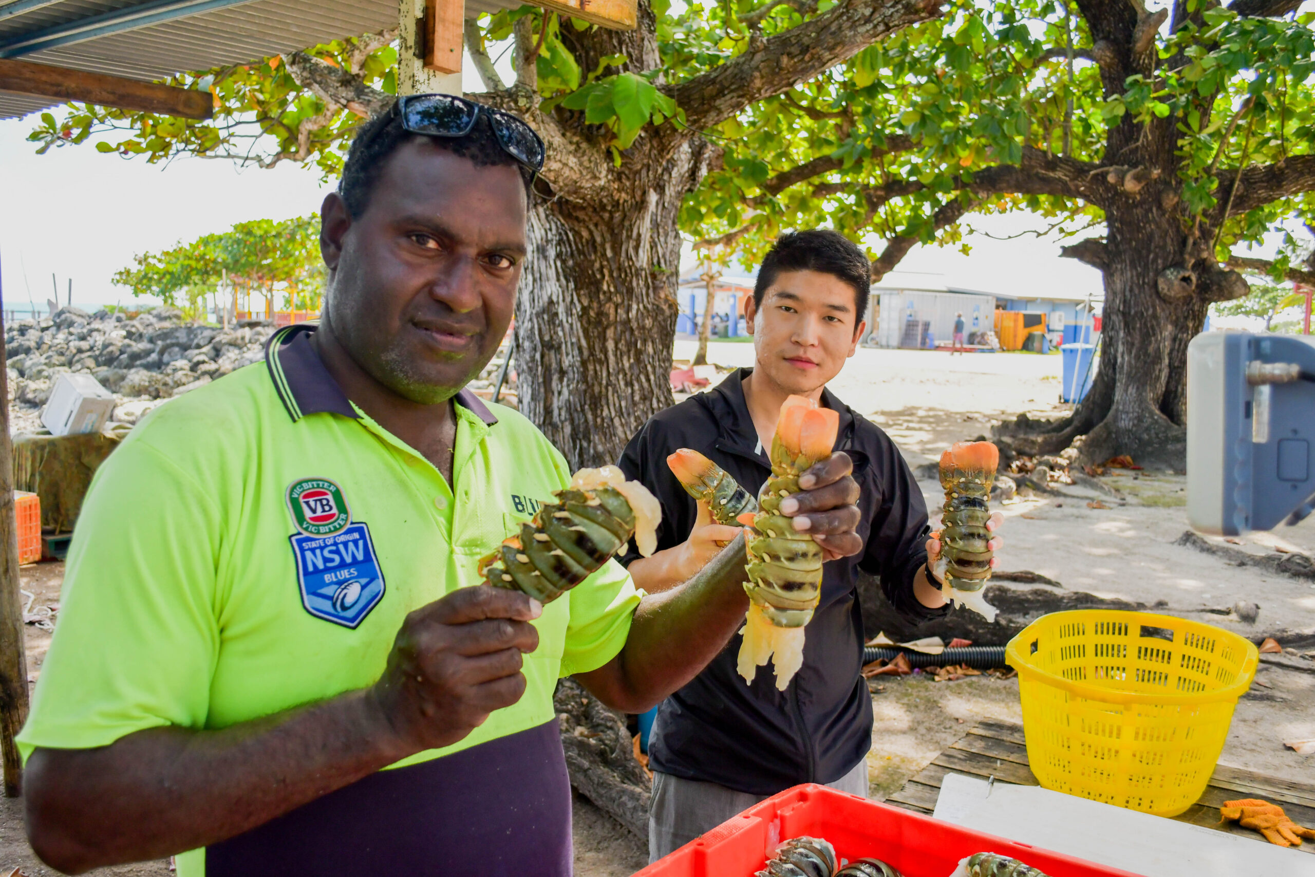 A Community-Led Approach to Economic Development | Torres Strait Island ...